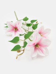 Sinsay - Decorative plant – clematis - pastelová růžová
