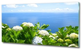 Wallmuralia Foto obraz sklo tvrzené Květiny nad mořem 100x50