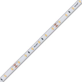 LED pásek McLED 24V teplá bílá CRI90 š=10mm IP67 4,8W/m 60LED/m SMD2835 ML-126.003.90.2