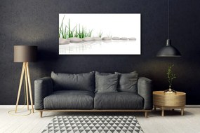 akrylový obraz Kameny Tráva Umění 120x60 cm