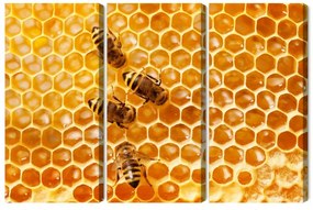 Vícedílný obraz Včely Na Plástev Nedostatek Nedostatek Přírodní plátno 60x40