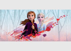 Dětská vliesová fototapeta na zed' Ledové království Sestry, Disney | 202 x 90 cm | DFTDNH 5388