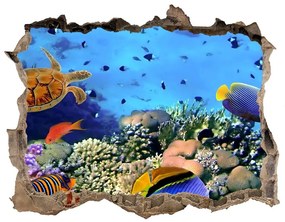 Wallmuralia Díra 3D fototapeta nálepka Korálový útes 95x64 cm
