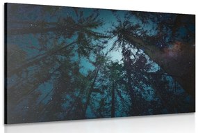 Obraz noc v lese - 120x80 cm