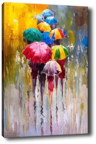 Obraz na plátně Raining rainbow 50x70 cm