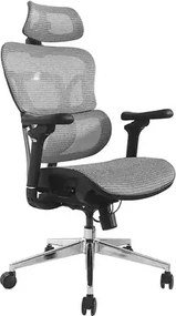 Equip Ergonomická kancelářská židle šedá / Kancelářská židle / síťový