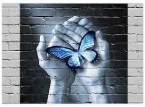 Skleněný obraz - Motýl na zdi (70x50 cm)
