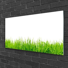 Obraz na skle Tráva Příroda Rostlina 140x70 cm