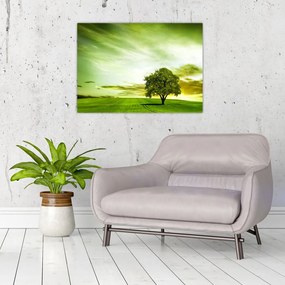 Skleněný obraz - Strom života (70x50 cm)