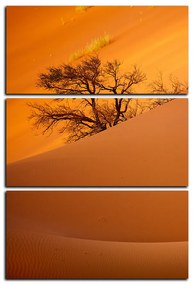 Obraz na plátně - Červené písečné duny - obdélník 7133B (90x60 cm  )