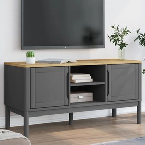 vidaXL TV stolek FLORO 114 x 43 x 55 cm masivní borové dřevo [374016] Barva: Šedá