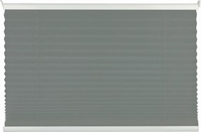 XXXLutz PLISÉ, poloprůhledné, 60/130 cm Homeware - Rolety a žaluzie - 006935002711