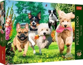 Trefl - Puzzle - Premium Plus Tea Time: Potíže na obzoru / 1000 dílků