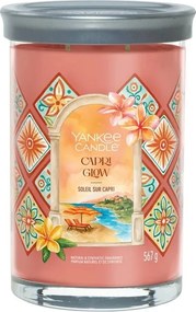 Yankee Candle vonná svíčka Tumbler ve skle velká Capri Glow 567g