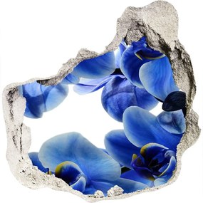Wallmuralia Fototapeta nálepka na zeď Modrá orchidej 75x75 cm
