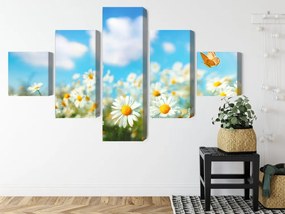 Vícedílný obraz 3D Sedmikráska Pole Nedostatek Nedostatek Plátno Canvas 250x150