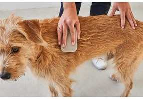 Kartáč na psí srst MiaCara Pelo béžový 6,5 x 10,6 x 2,5 cm