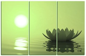 Obraz na plátně - Zen lotus 1167ZB (105x70 cm)