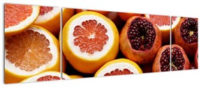 Obraz pomerančů a granátových jablek (170x50 cm)