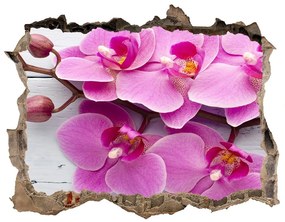 Wallmuralia Samolepící nálepka Orchidej na stromě 95x64 cm