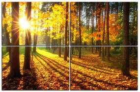 Obraz na plátně - Podzimní les 1176E (150x100 cm)