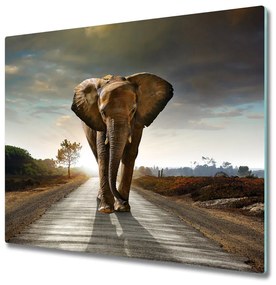 Skleněná krájecí deska Procházka slonem 60x52 cm