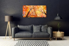 akrylový obraz Stromy Příroda 100x50 cm