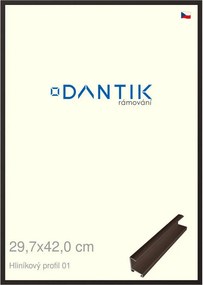 DANTIK rámeček 29,7x42 | ALU profil 7001 Hnědá matná (Plexi Čiré)