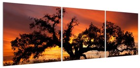 Romantický obraz stromu (150x50 cm)