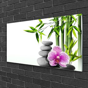 Obraz na skle Bambus Kameny Zen Umění 120x60 cm