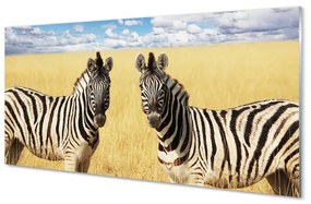 Obraz na skle zebra box 125x50 cm