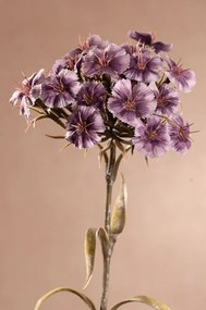 Paramit DRY DIANTHUS Aranžovací květina fialová 55 cm