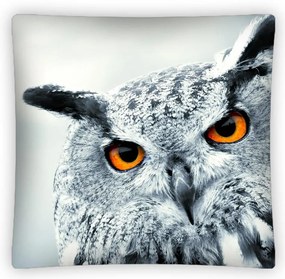 Detexpol 3D povlak na polštář se sovou 40x40 D 8489 Sova PS 0005 polyester