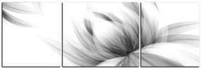 Obraz na plátně - Elegantní květ - panoráma 5147QC (120x40 cm)