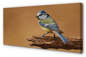 Obrazy na plátně Pták 125x50 cm