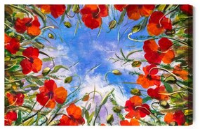 Obraz Pohled Zdola Na Malované Červené Máky Nedostatek Nedostatek Přírodní plátno 70x50