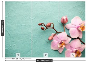 Fototapeta Orchid Pink 104x70