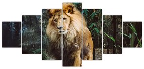 Obraz lva v přírodě (210x100 cm)