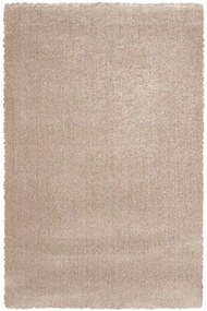 Vopi | Kusový koberec Dolce Vita 01EEE - 120 x 170 cm, béžový
