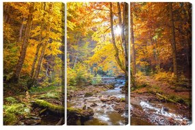 Vícedílný obraz 3D Podzimní Lesní Krajina Nedostatek Nedostatek Plátno Canvas 60x40