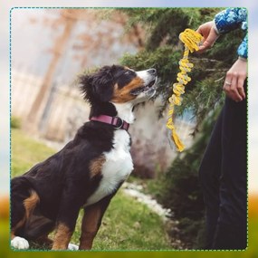 Přetahovací lano pro psy z bavlny, 60 cm, šedo-hořčicová barva