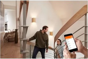 Ledvance - LED Stmívatelné nástěnné svítidlo SMART+ WOOD LED/12W/230V Wi-Fi