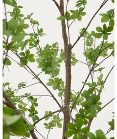 Umělá rostlina (výška 214 cm) Enkianthus – Kave Home