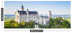 Fototapeta Neuschwanstein 104x70