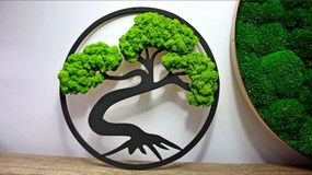 OznTo Nástěnný strom ve tvaru bonsaje více druhů,3velikosti Barva mechu: světle zelený, Barva rámečku: Přírodní, Rozměr rámečku: Průměr 60cm