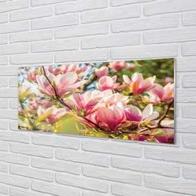 akrylový obraz růžová magnolie 120x60 cm