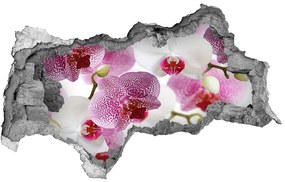 Wallmuralia Fototapeta nálepka na zeď Fototapeta orchidej 95x73 cm