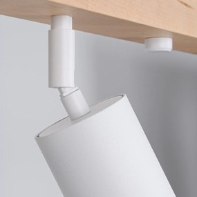 Sollux Lighting Stropní svítidlo VERDO 4 bílé
