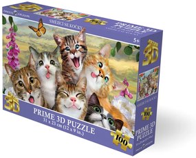 Puzzle 3D - Smějící se kočky