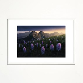Filip Hrebenda | Farewell to the Sun Rám: Černý, Velikost: 20 x 30 cm